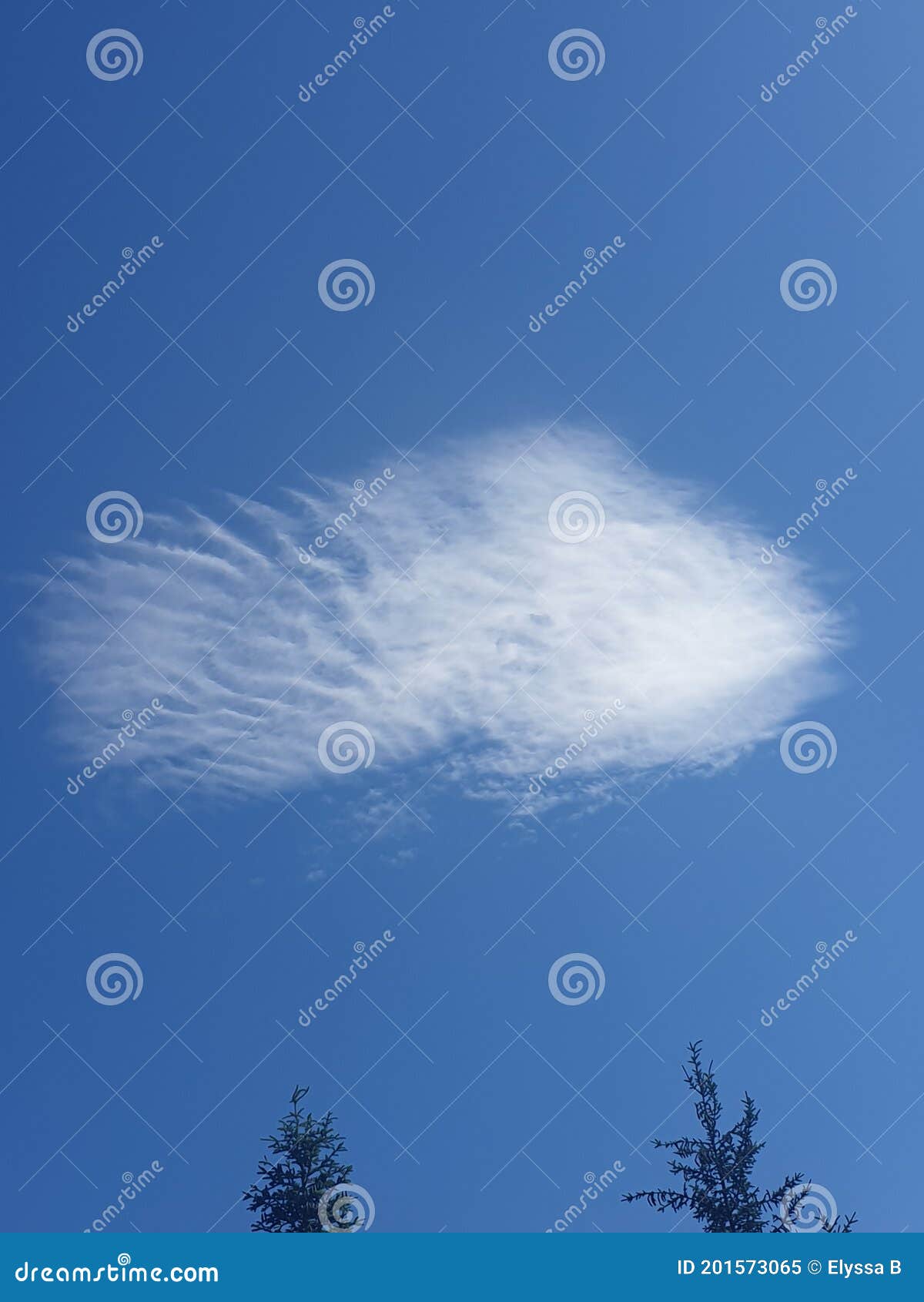 Fish cloud in the blue sky stock image. Image of blue - 201573065