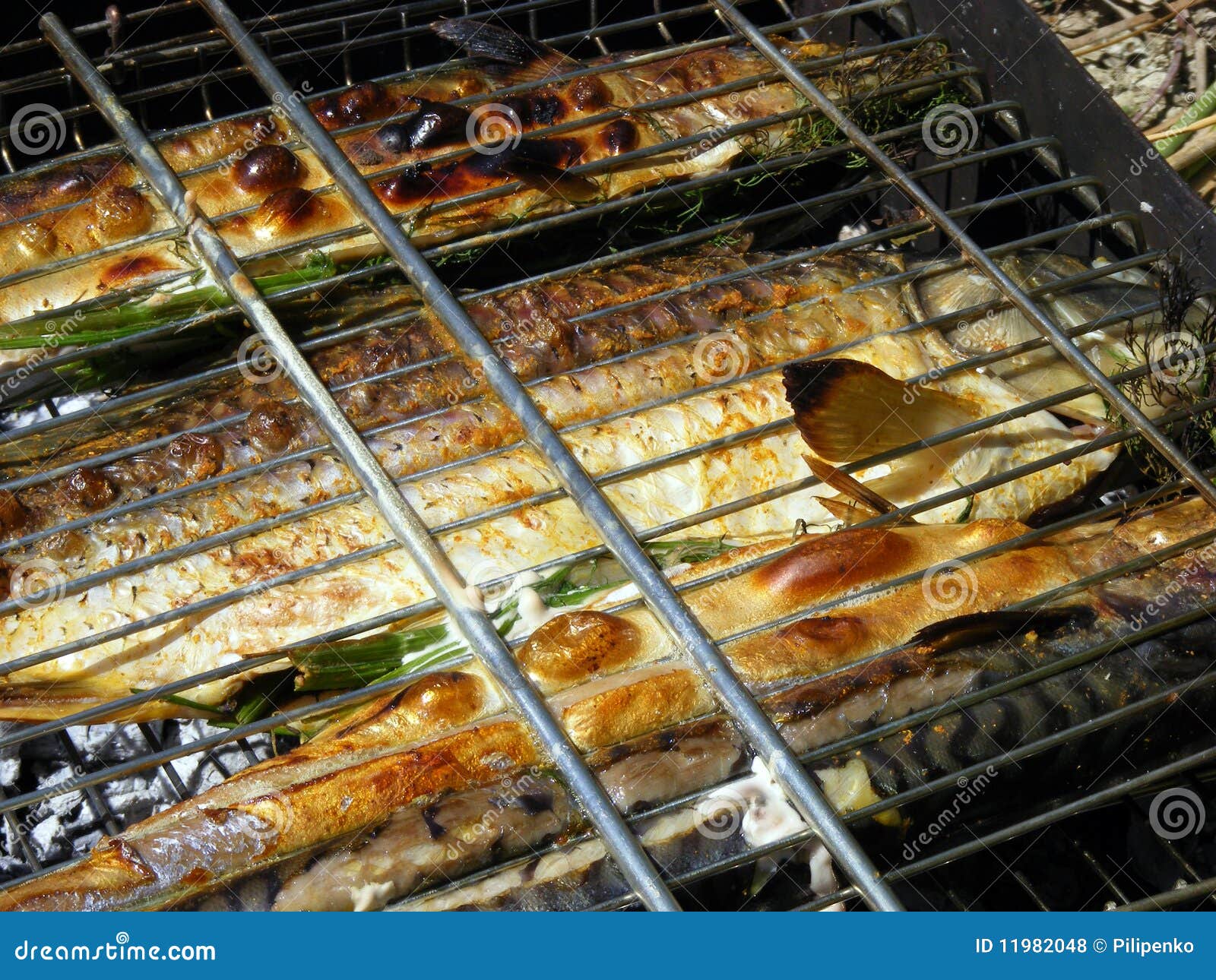 Fish on coals stock photo. Image of leisure, eating, silver - 11982048