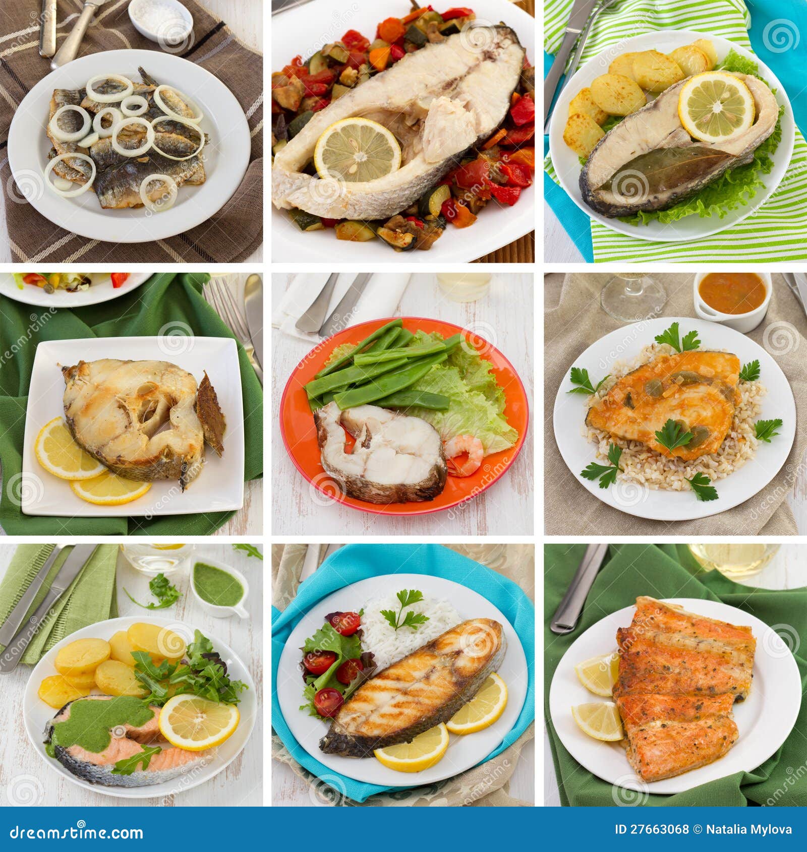 Fish collage stock photo. Image of onion, fish, salmon - 27663068