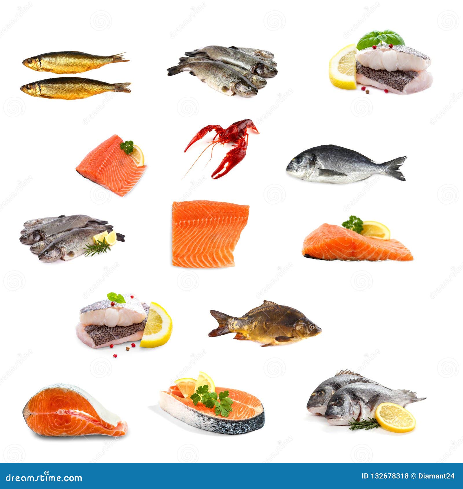 Fish Collage Isolated on White Stock Photo - Image of delicious ...