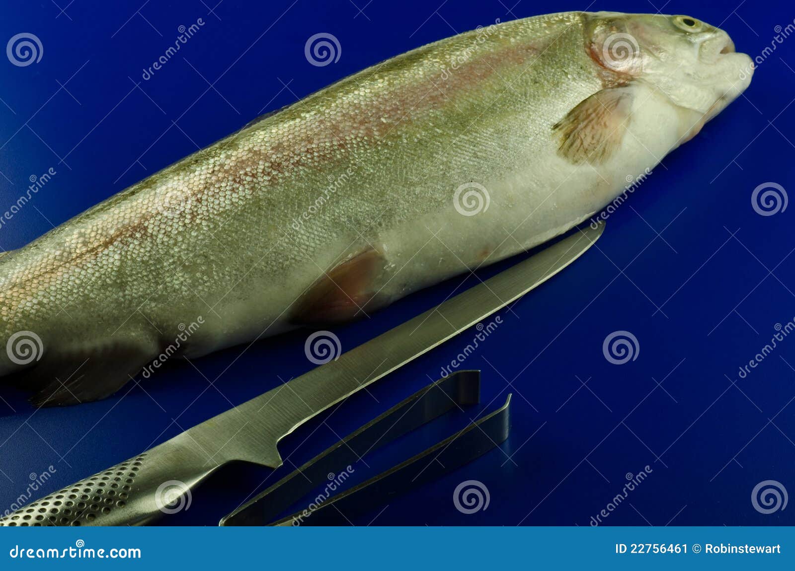Fish on Color Coded Food Board Stock Image - Image of vegetables ...