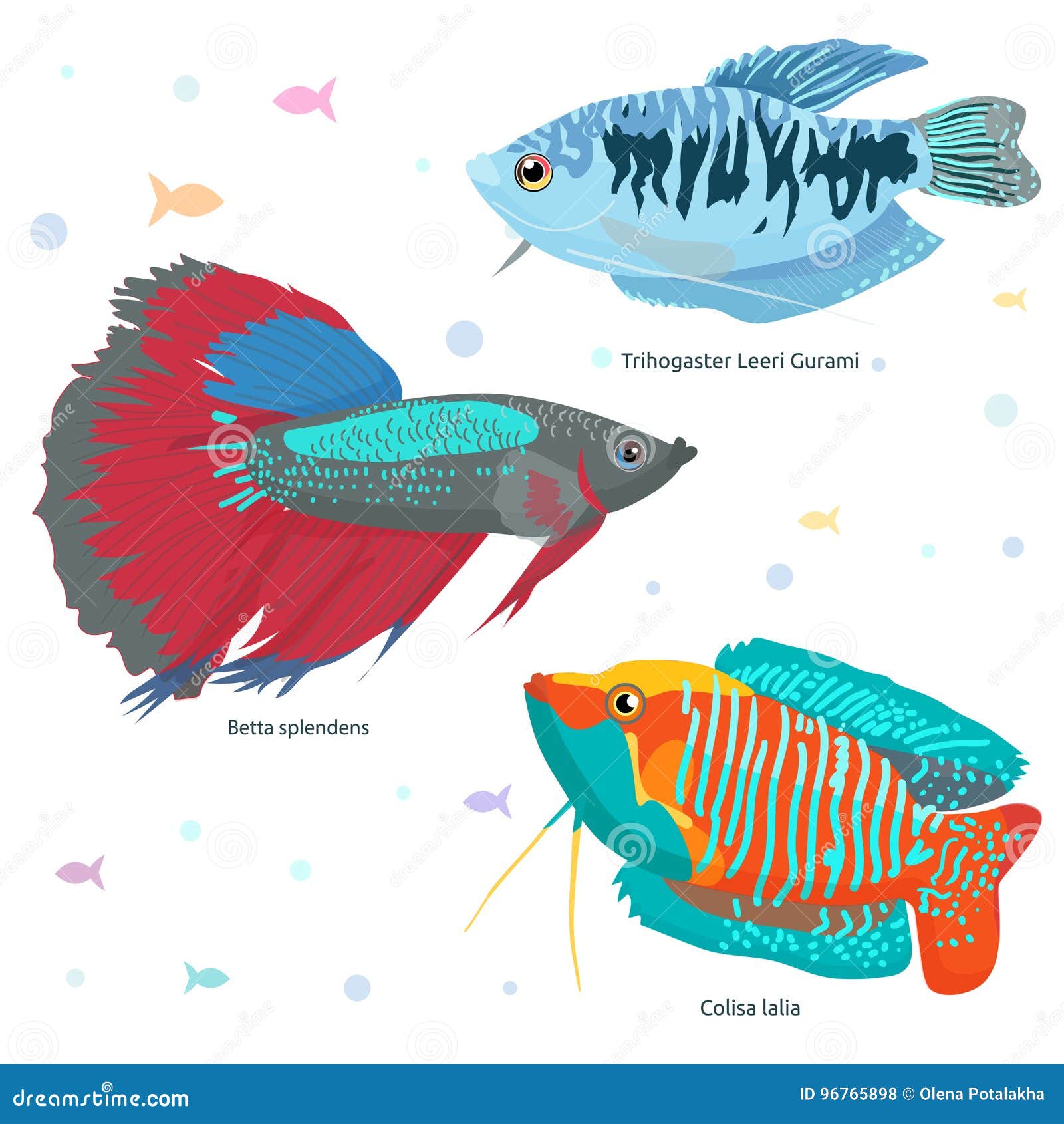 Fish Colorful Vector Set stock vector. Illustration of fish - 96765898