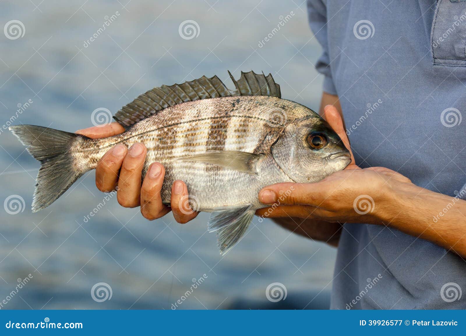Fish stock image. Image of beautiful, ocean, food, happiness - 39926577