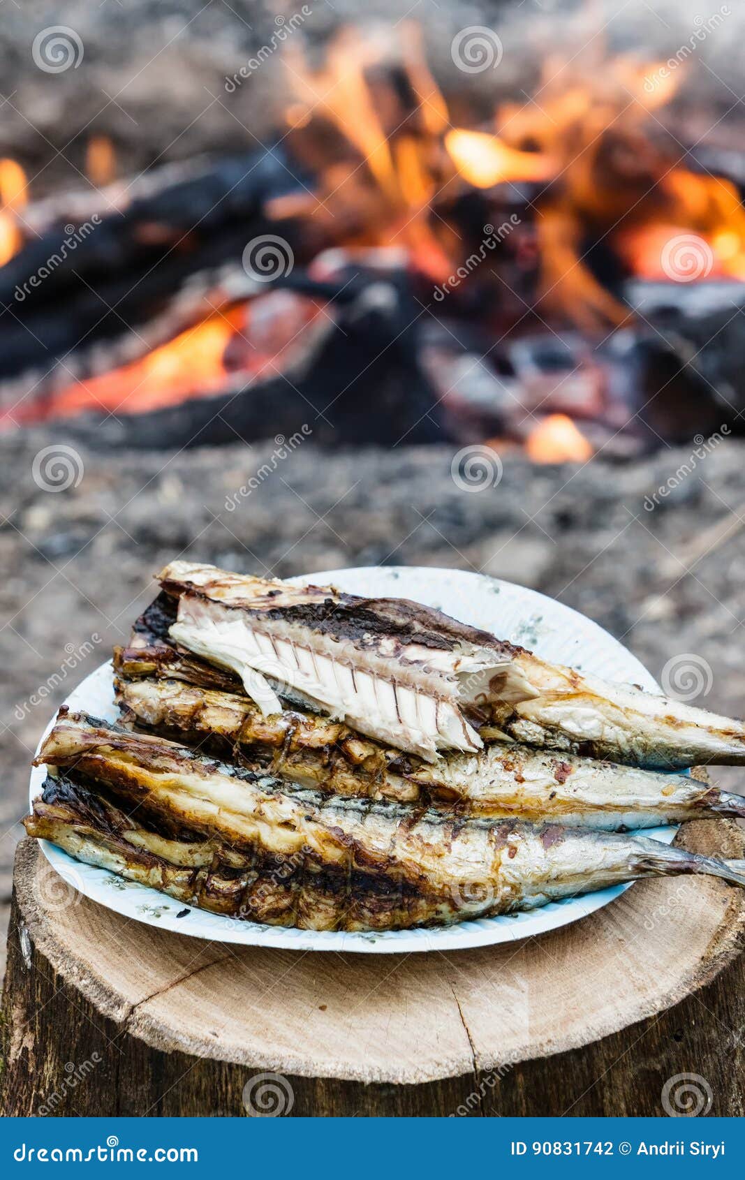 Fish cooked on fire stock photo. Image of cooking, grilling - 90831742