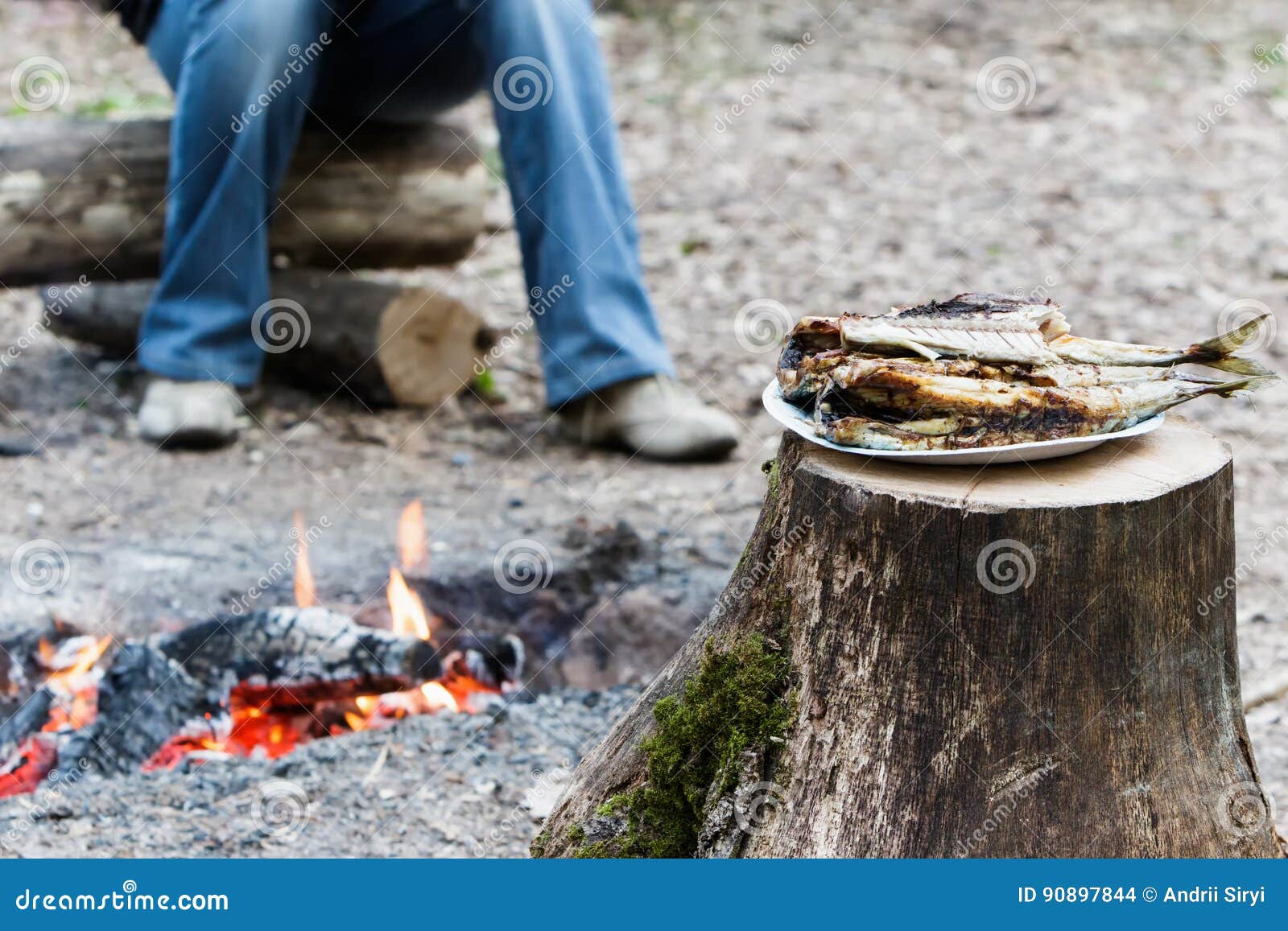 Fish cooked on fire stock photo. Image of barbecue, campfire - 90897844