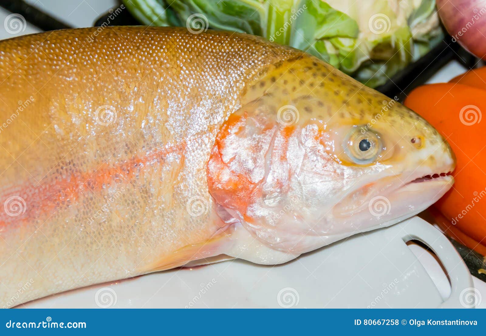 Fish Cooking stock photo. Image of cuisine, healthy, fishery - 80667258