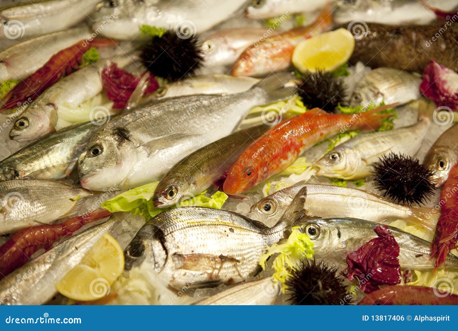 Fish in a counter stock photo. Image of fresh, delicacy - 13817406