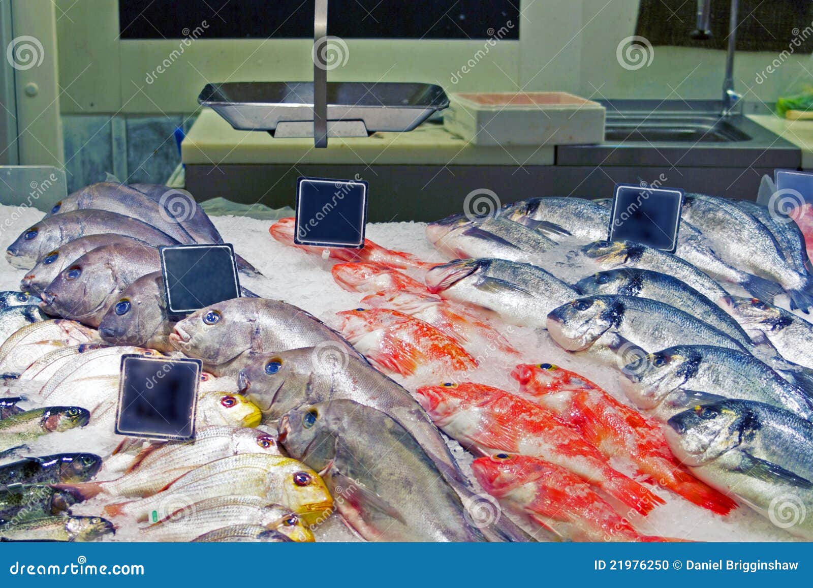 Fish Counter stock photo. Image of sale, scales, healthy - 21976250