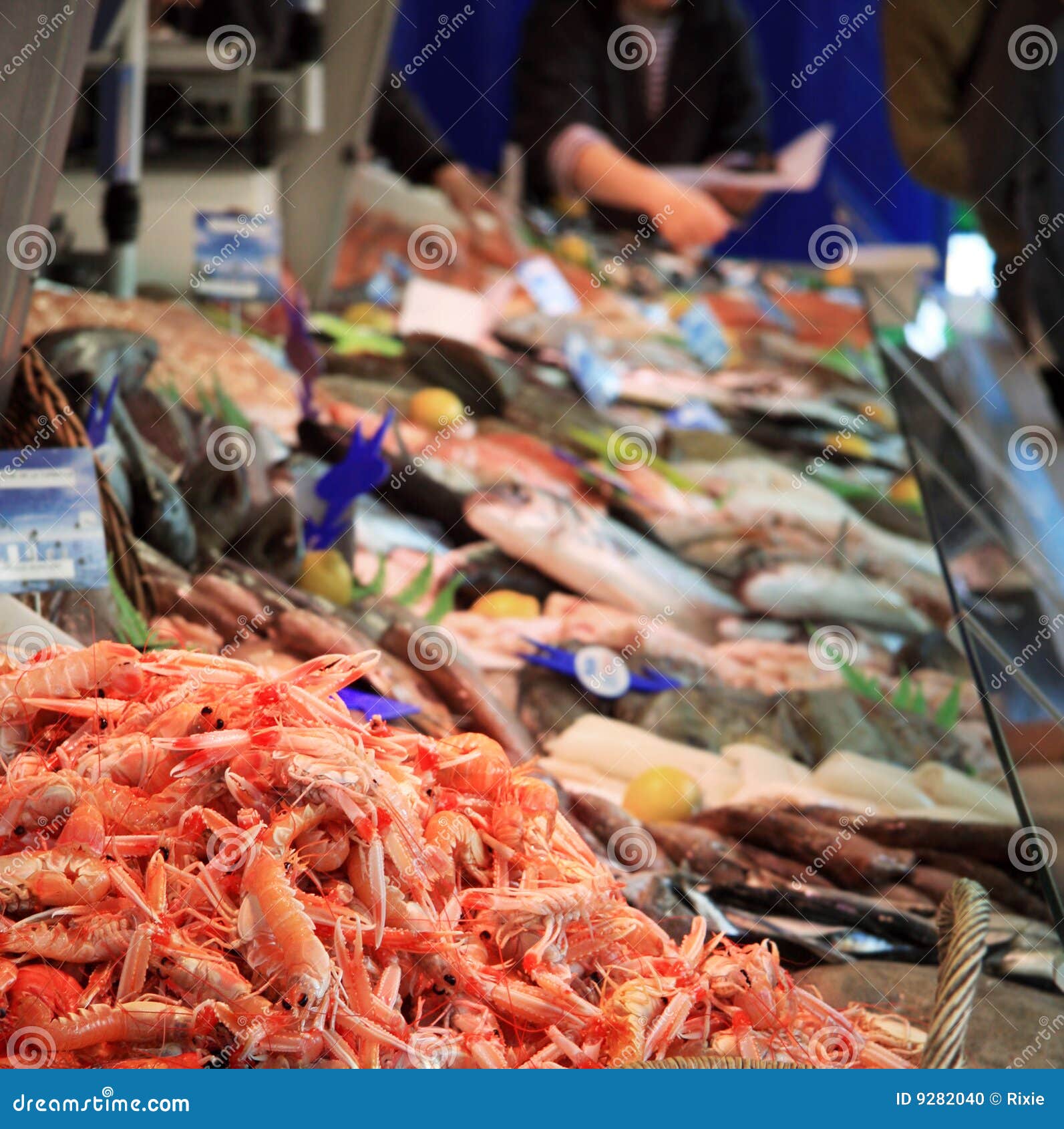 Fish counter stock photo. Image of cooking, foodstuffs - 9282040