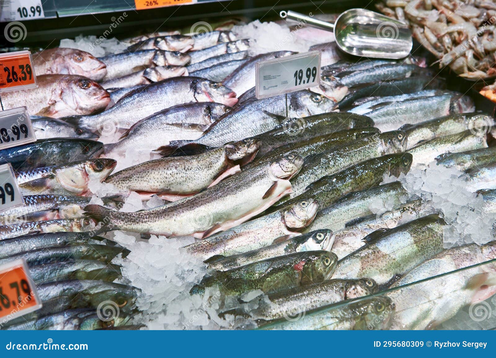 Fish on counter in store stock image. Image of grocery - 295680309