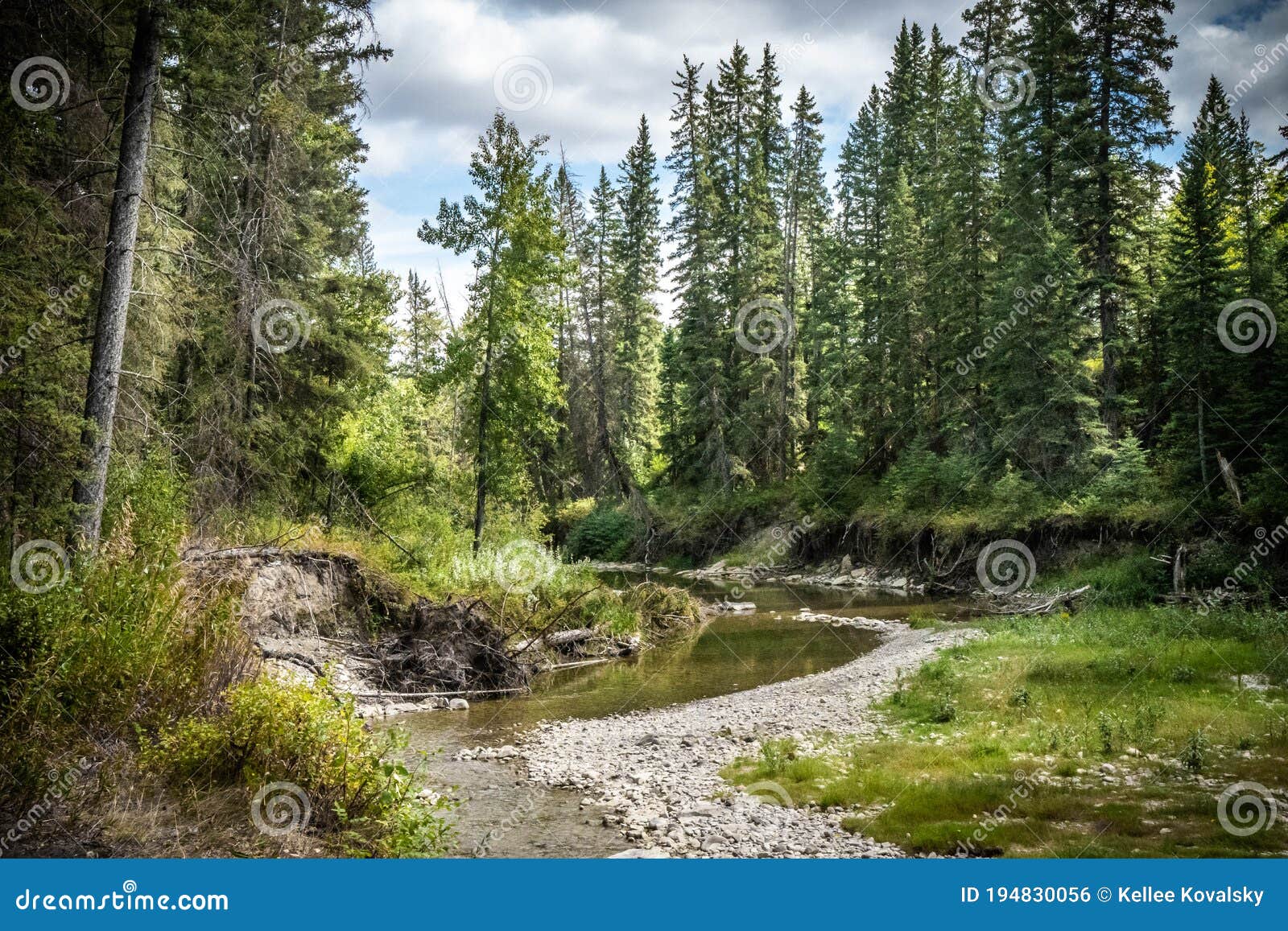 Fish Creek Park in Summer stock photo. Image of canada - 194830056