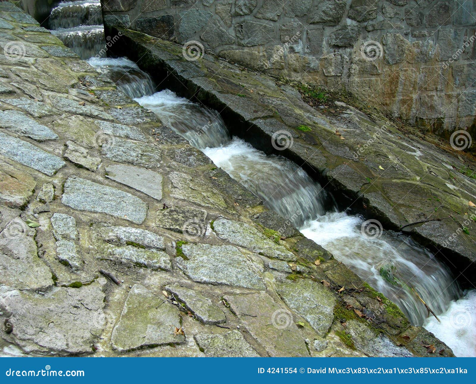 Fish crossing stock photo. Image of architecture, sluice - 4241554