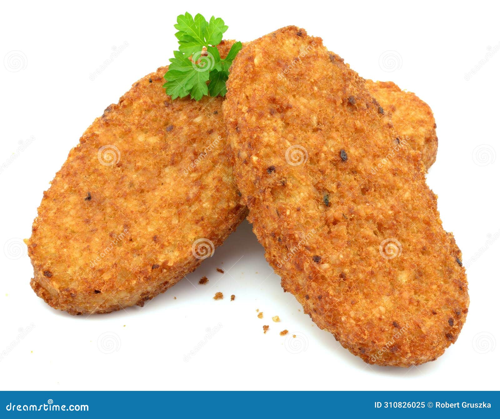 Fish cutlet stock image. Image of white, meat, isolated - 310826025