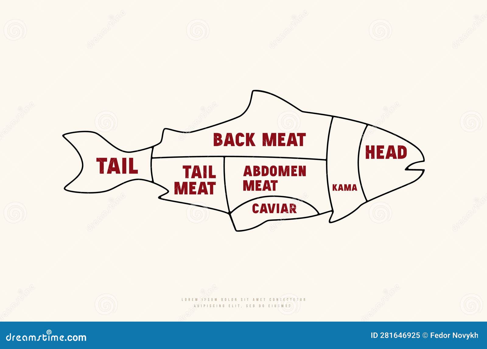 Fish Cuts Diagram in Thin Line Style Stock Vector - Illustration of ...