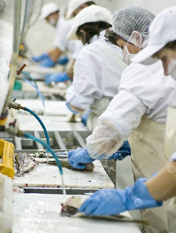 Fish cutters stock image. Image of male, cutters, factories - 6772711