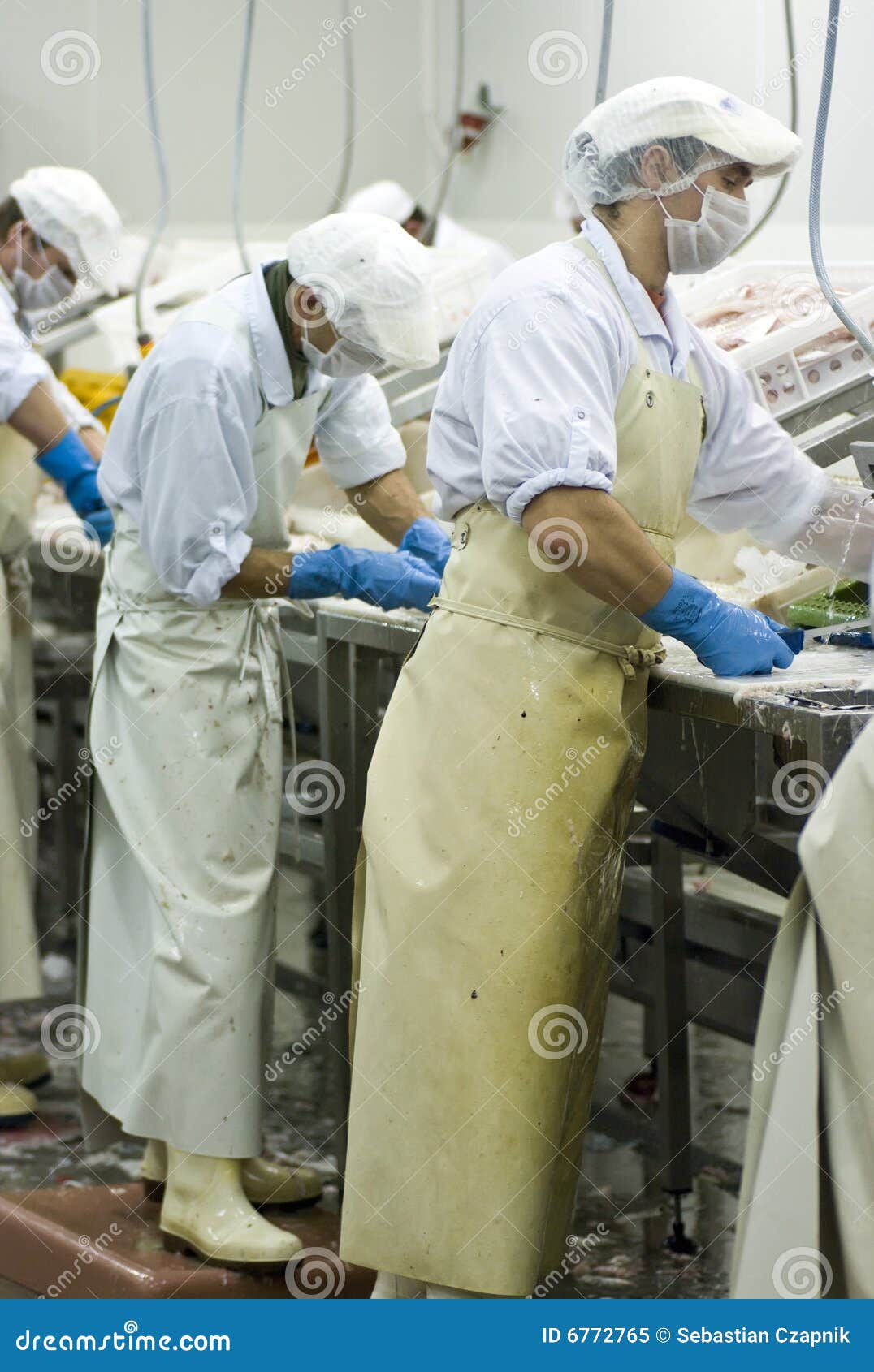 Fish cutters at work stock image. Image of labour, knife - 6772765