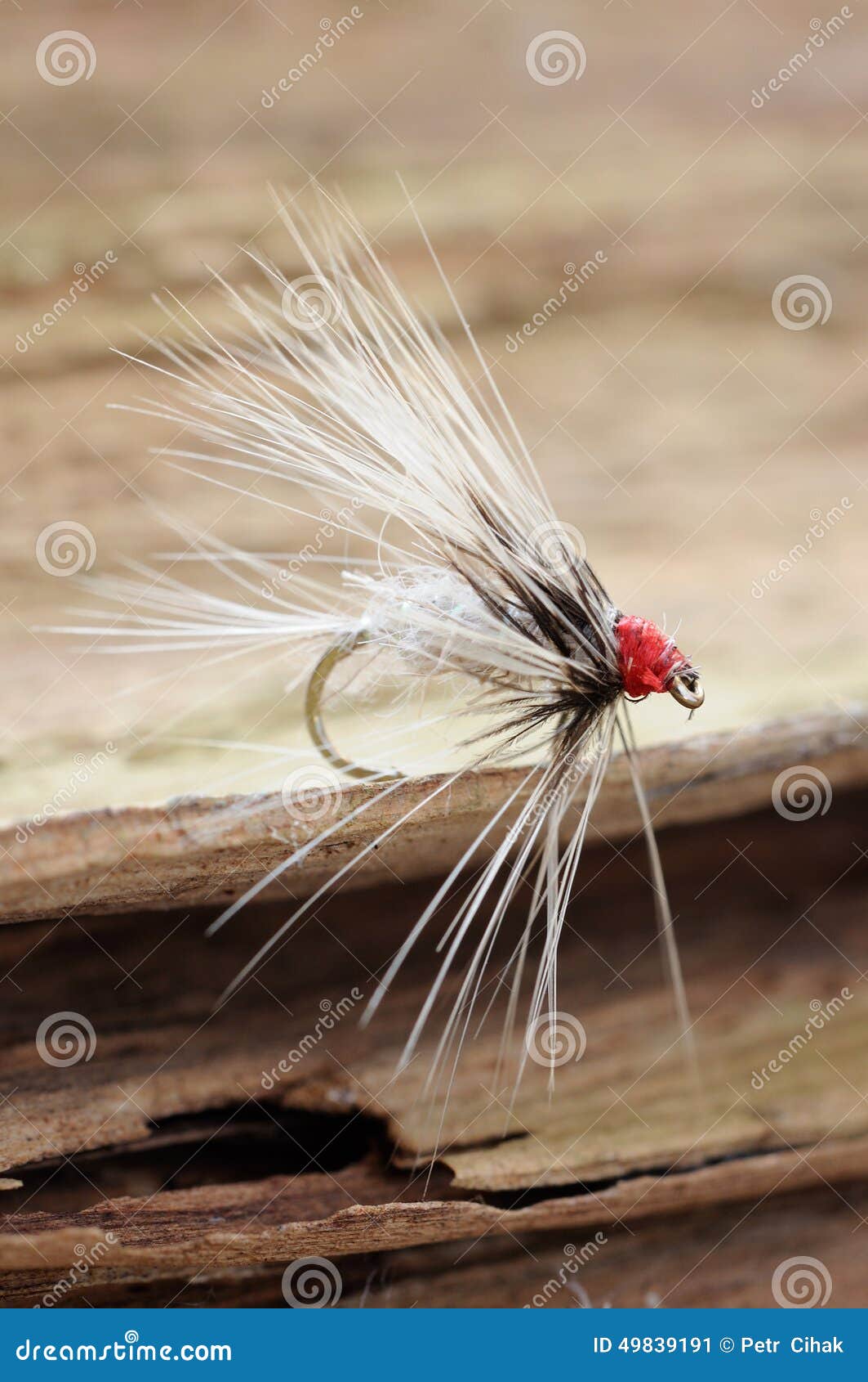 Fish decoy stock image. Image of hand, lure, synthetic - 49839191