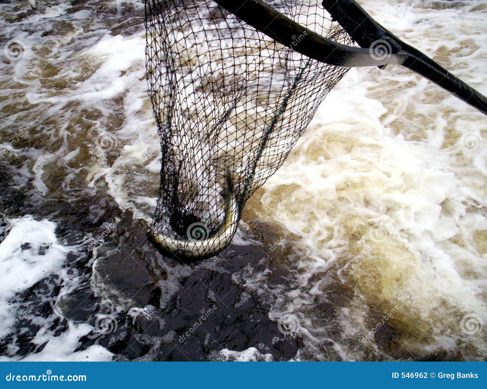 Fish dipnet stock photo. Image of nature, fish, industrial - 546962
