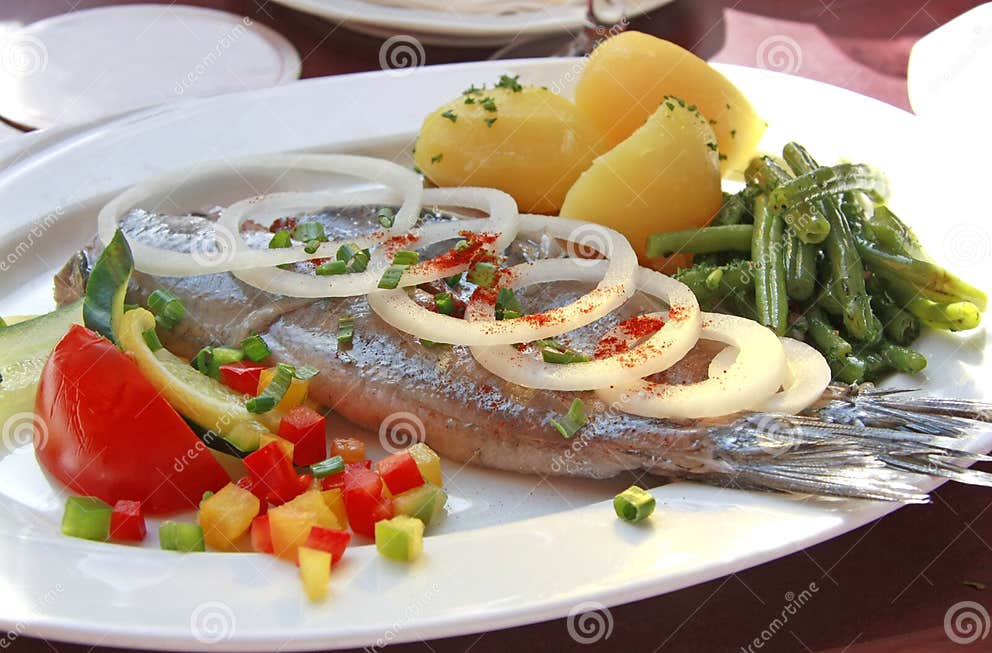 Fish Dish stock image. Image of acids, diced, fatty, fine - 14162667