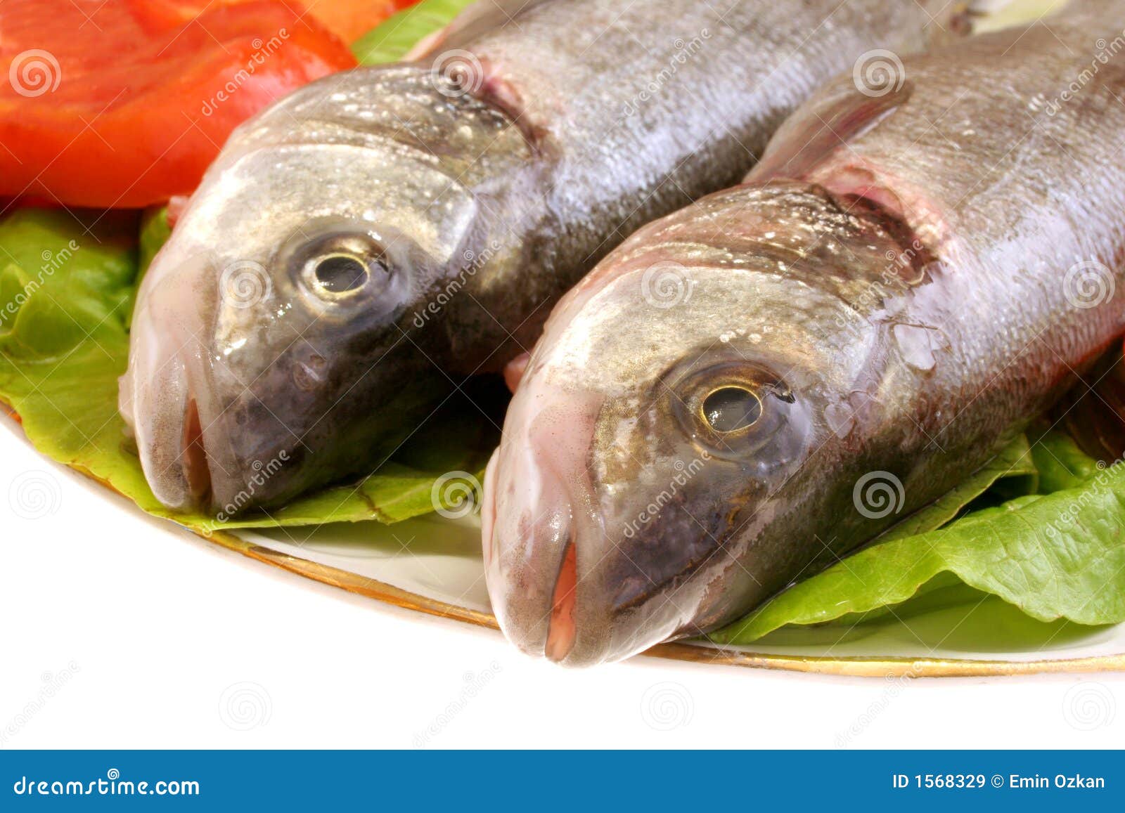 Fish dish stock image. Image of fishes, dish, grey, meal - 1568329