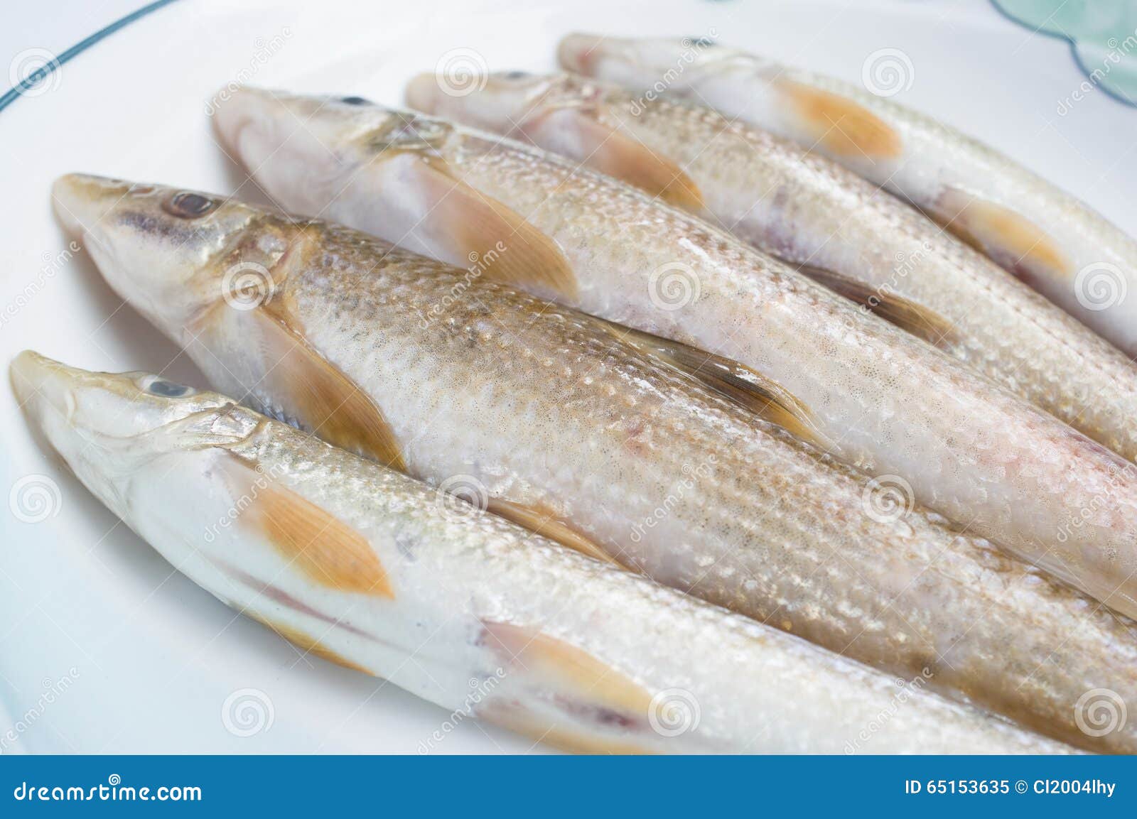Fish in disk stock image. Image of animal, protein, seafood - 65153635