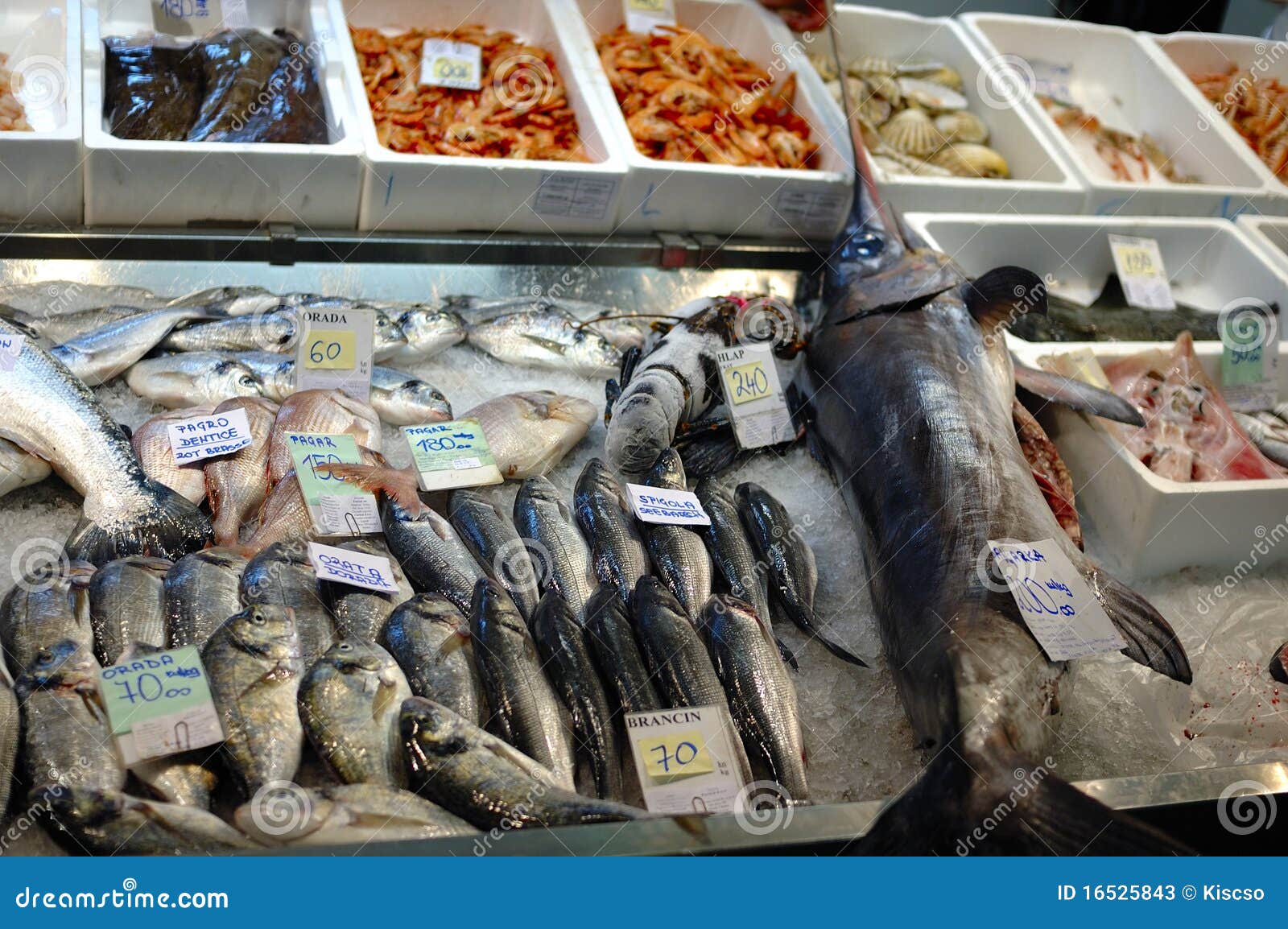 Fish display stock image. Image of frozen, market, mart - 16525843