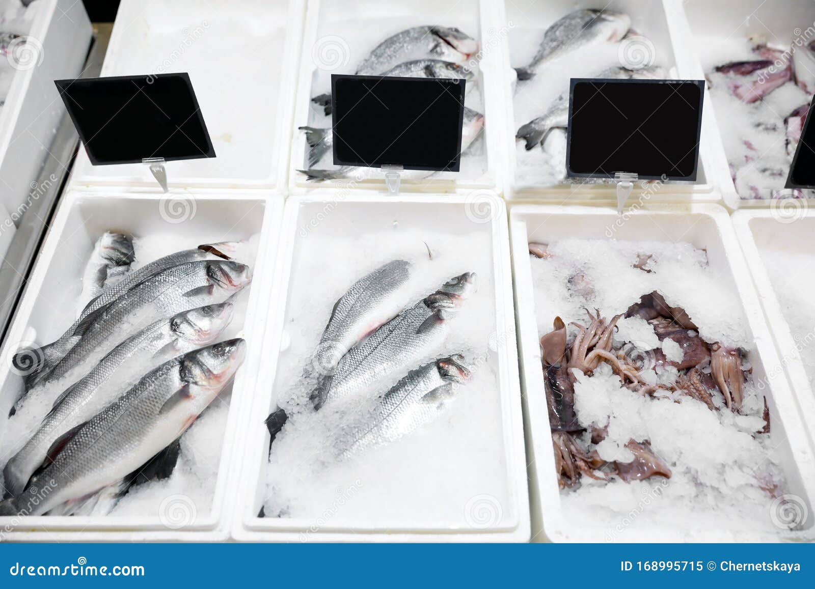 Fish on Display with Ice at Wholesale Market Stock Image - Image of ...
