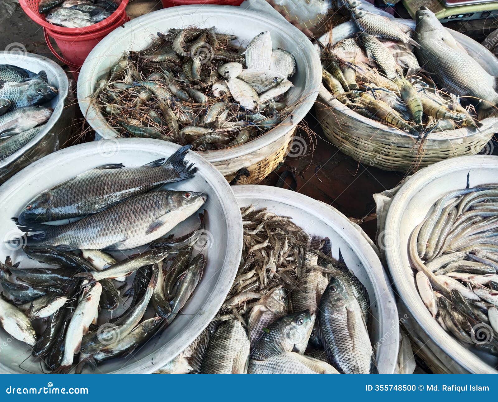 Fish Display on a Fish Market Stock Photo - Image of selling, local ...