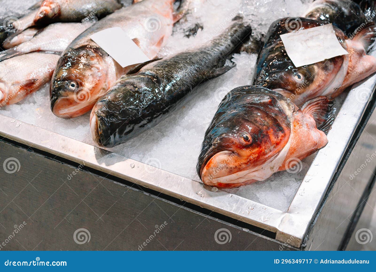 Raw Fresh Fish at the Market Stock Image - Image of industry, display ...