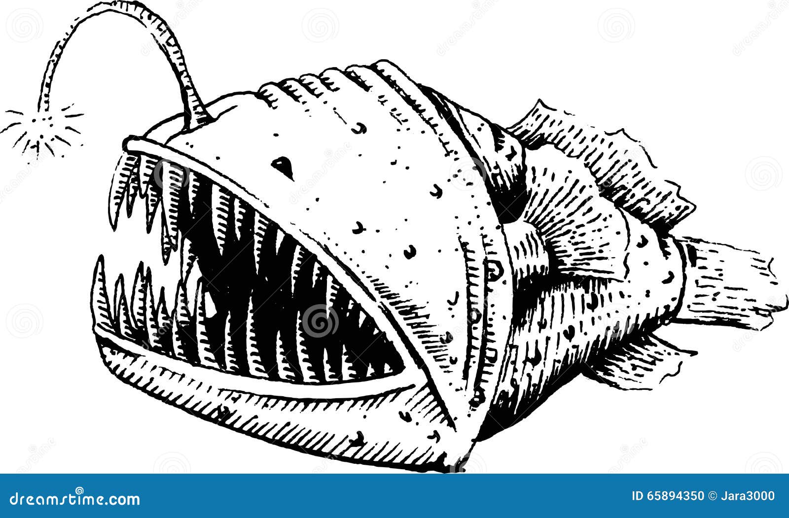 Fish-dog, Fish, Angler Or Sea Devil Vector Illustration | CartoonDealer ...