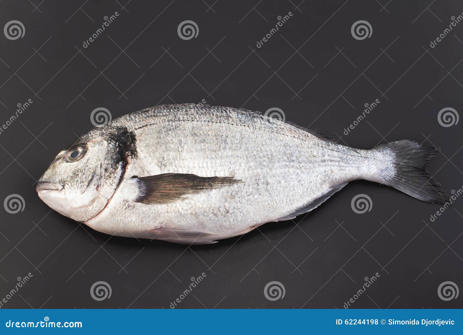Fish Dorade on a Black Background Stock Photo - Image of catch, seafood ...