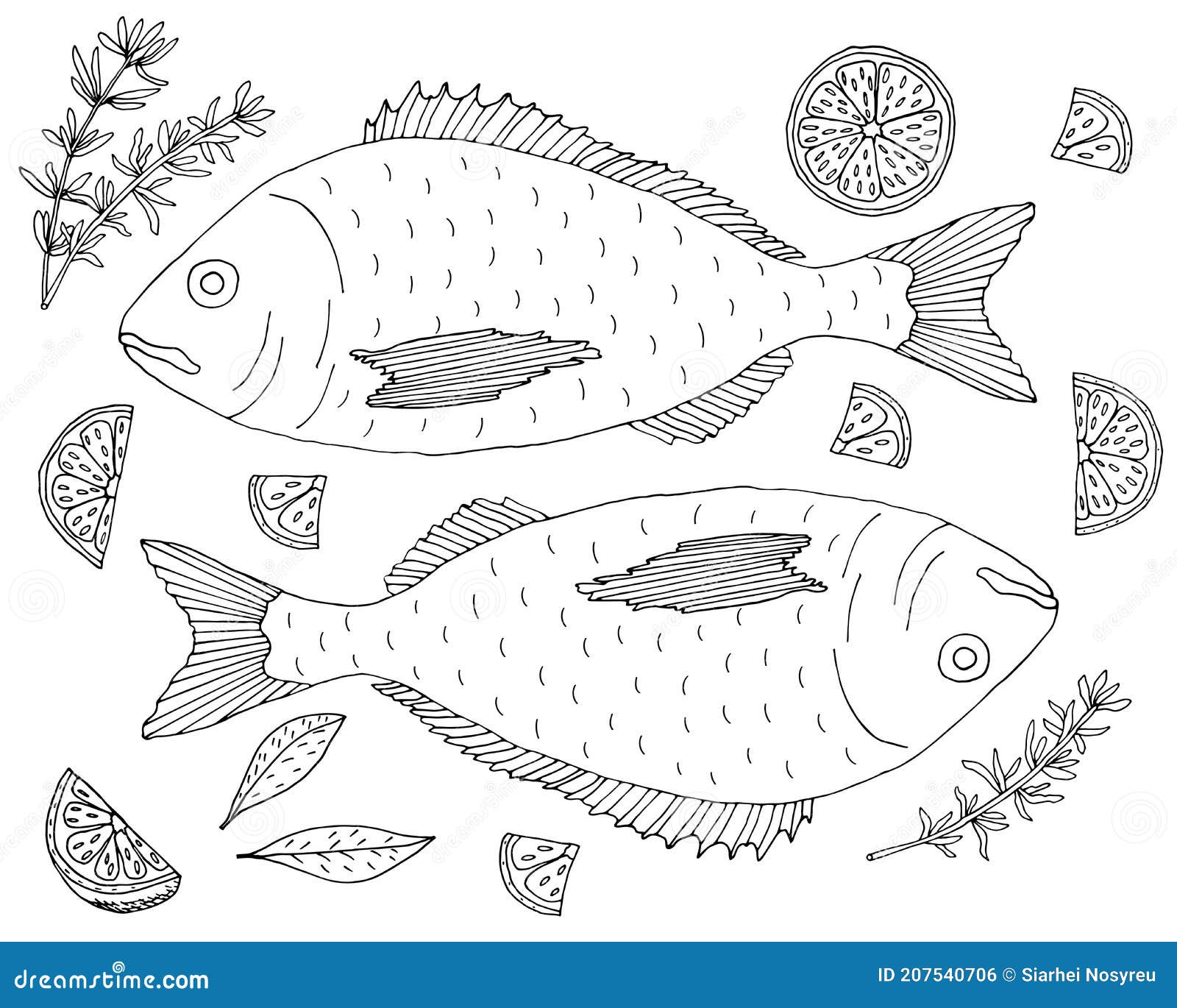 Fish Dorado with Lemon and Thyme Hand Drawn, Isolated. Fish Dish ...