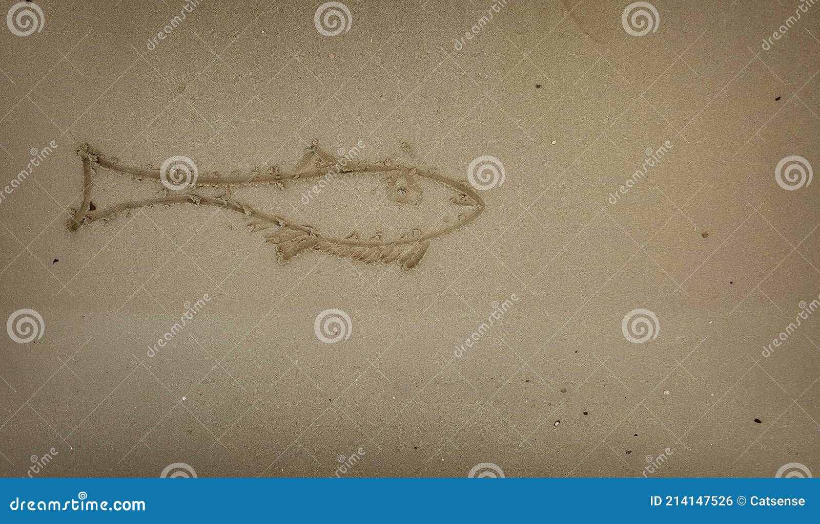 Fish drawing on the beach stock photo. Image of background - 214147526