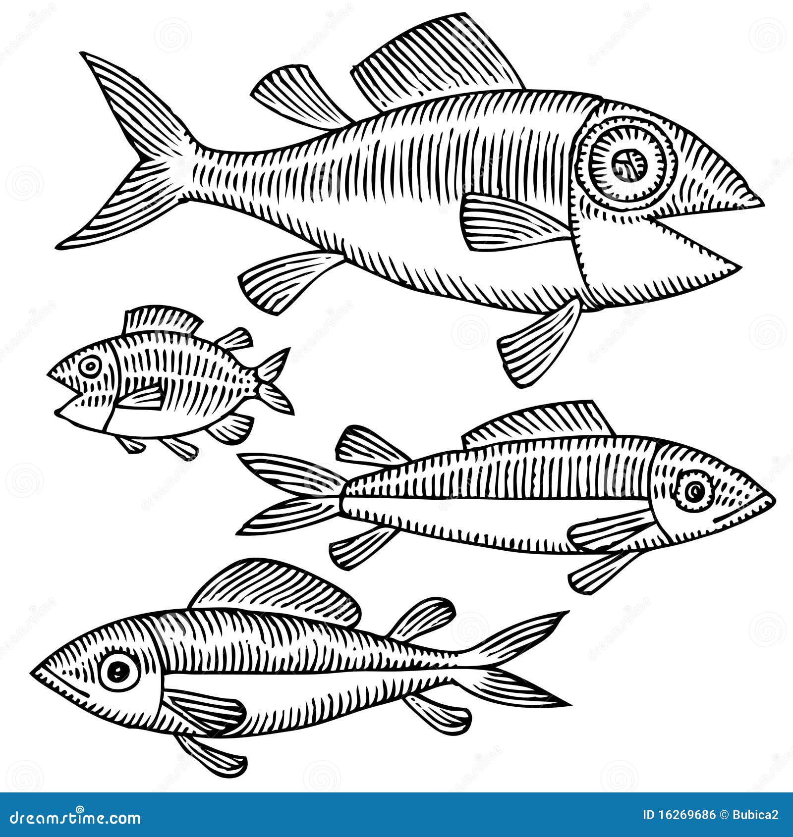 Set Of Fishes Drawing Vector Illustration | CartoonDealer.com #27591824