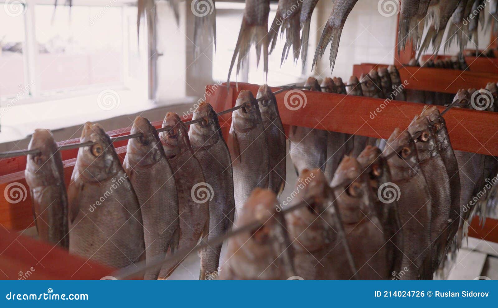 The Fish is Dried at a Fish Processing Plant. Cooking Dried Processed ...