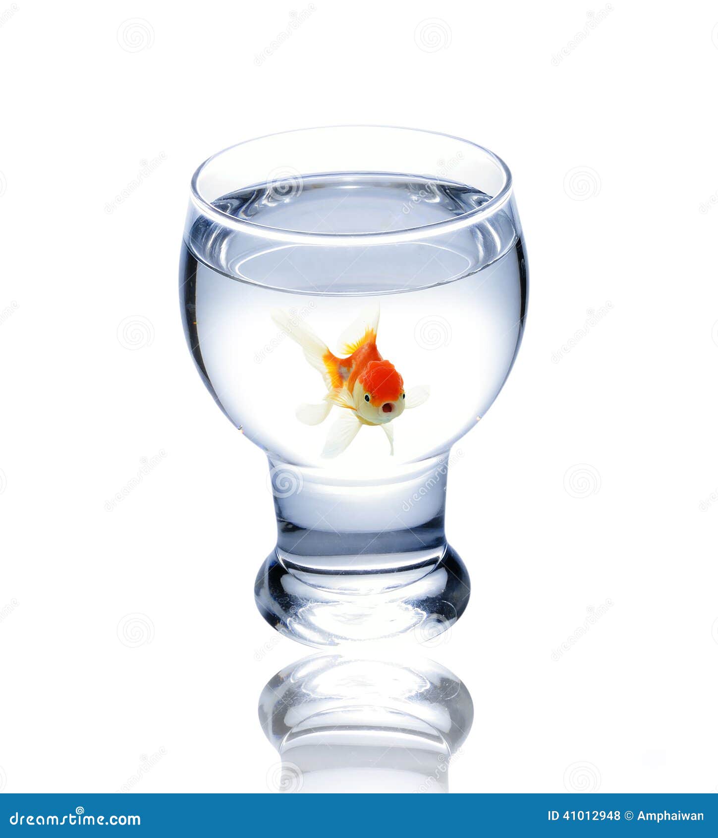 Goldfish Drinking Frozen Water Drop Royalty-Free Stock Photography ...