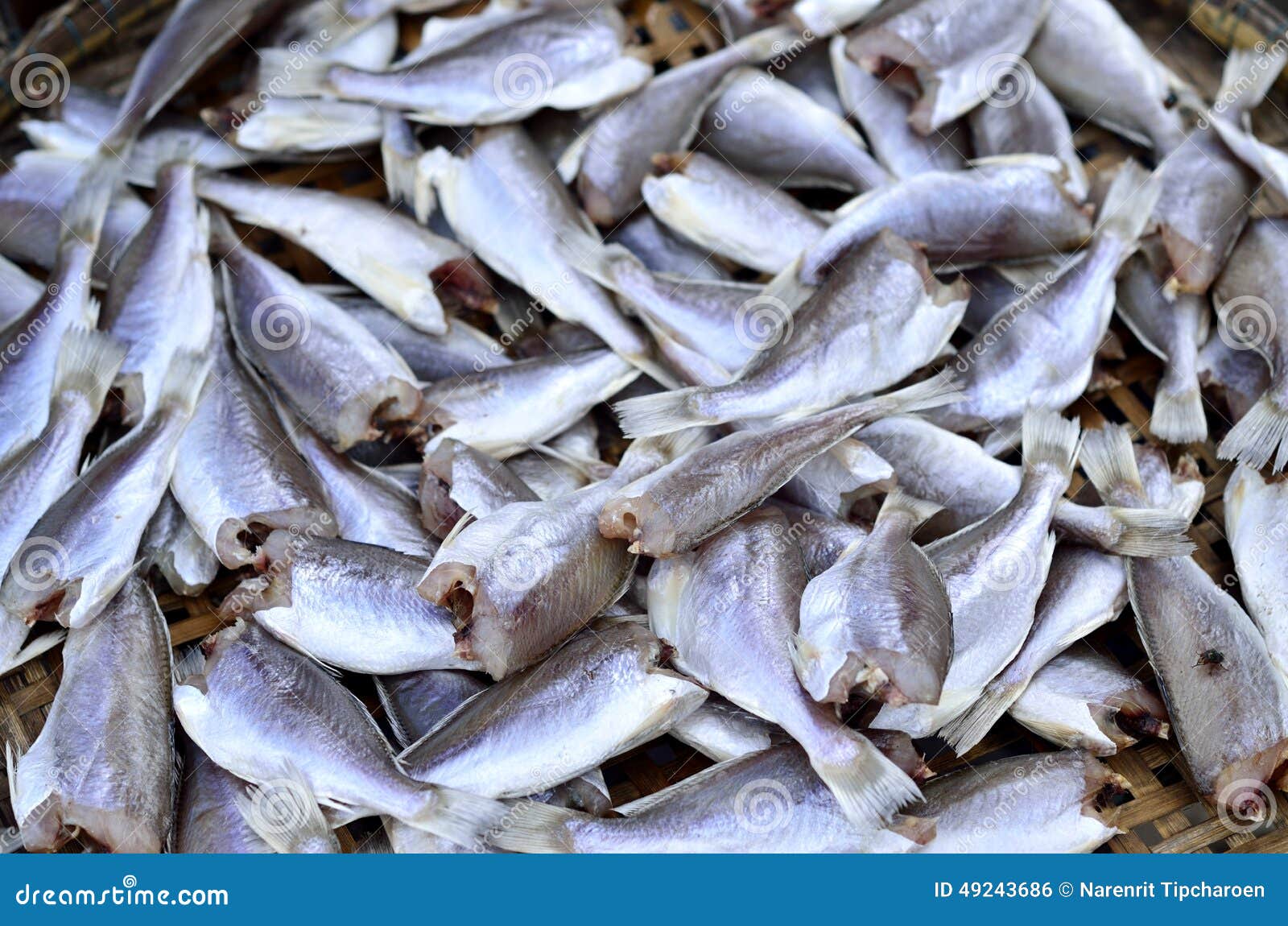 Fish dry stock photo. Image of ingredient, full, cuisine - 49243686