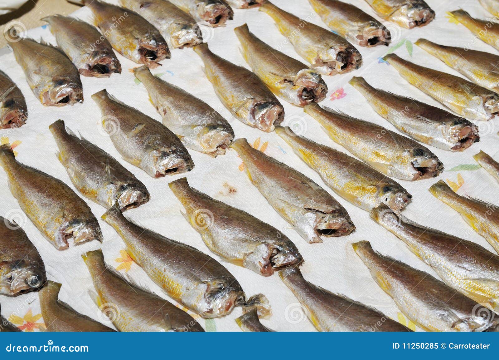 Fish on drying stock image. Image of fish, dish, salted - 11250285