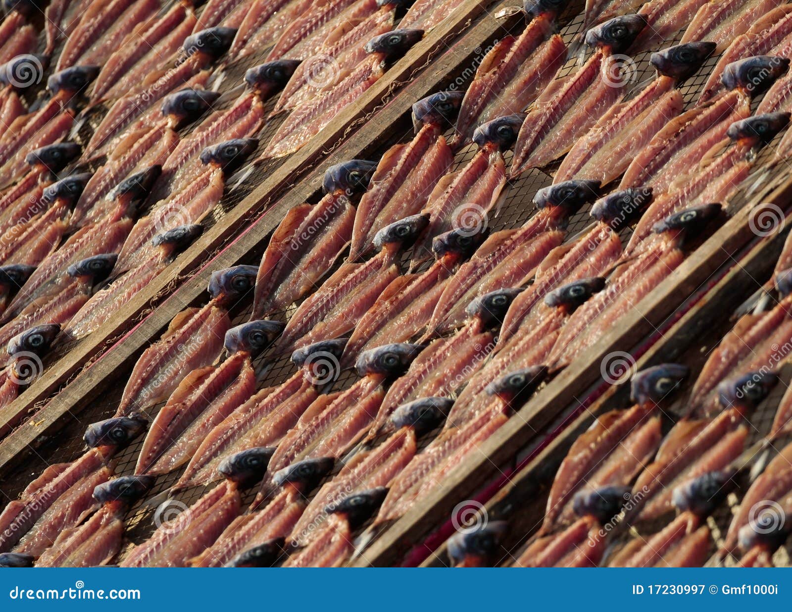 Fish drying stock image. Image of warm, beach, tourist - 17230997