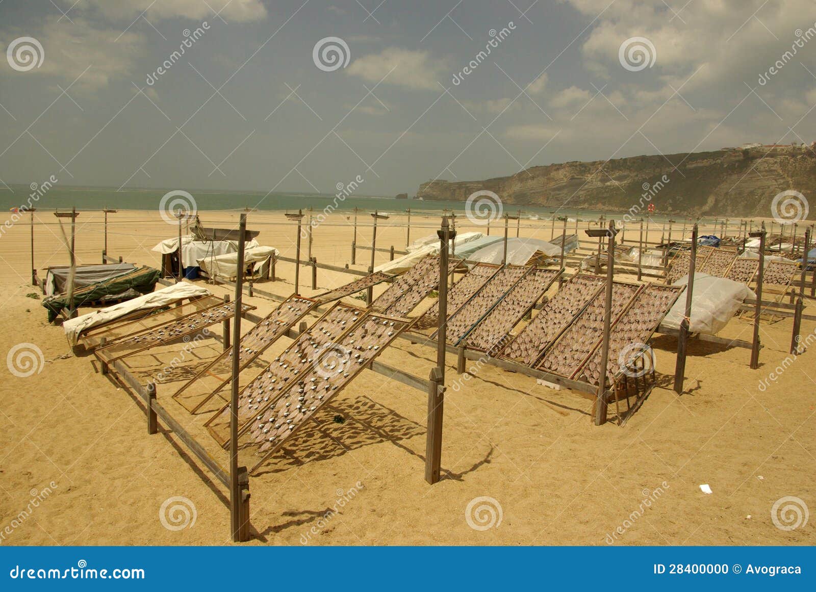 Fish drying racks stock photo. Image of drying, fish - 28400000