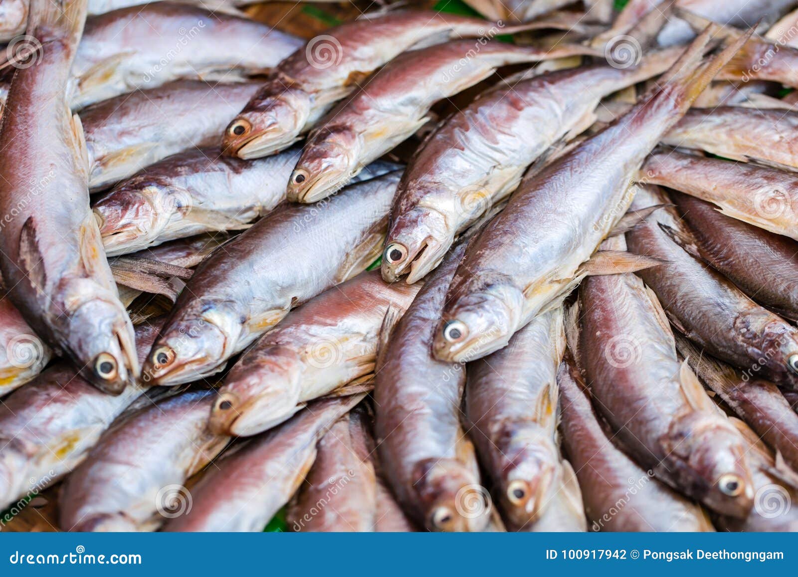 Fish drying on racks stock photo. Image of fish, seafood - 100917942