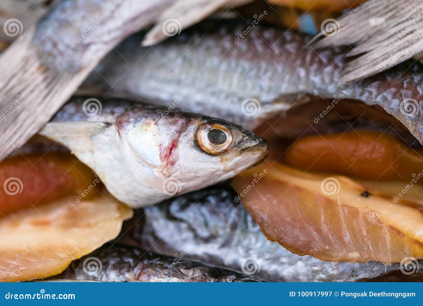 Fish drying on racks stock image. Image of fishing, fish - 100917997
