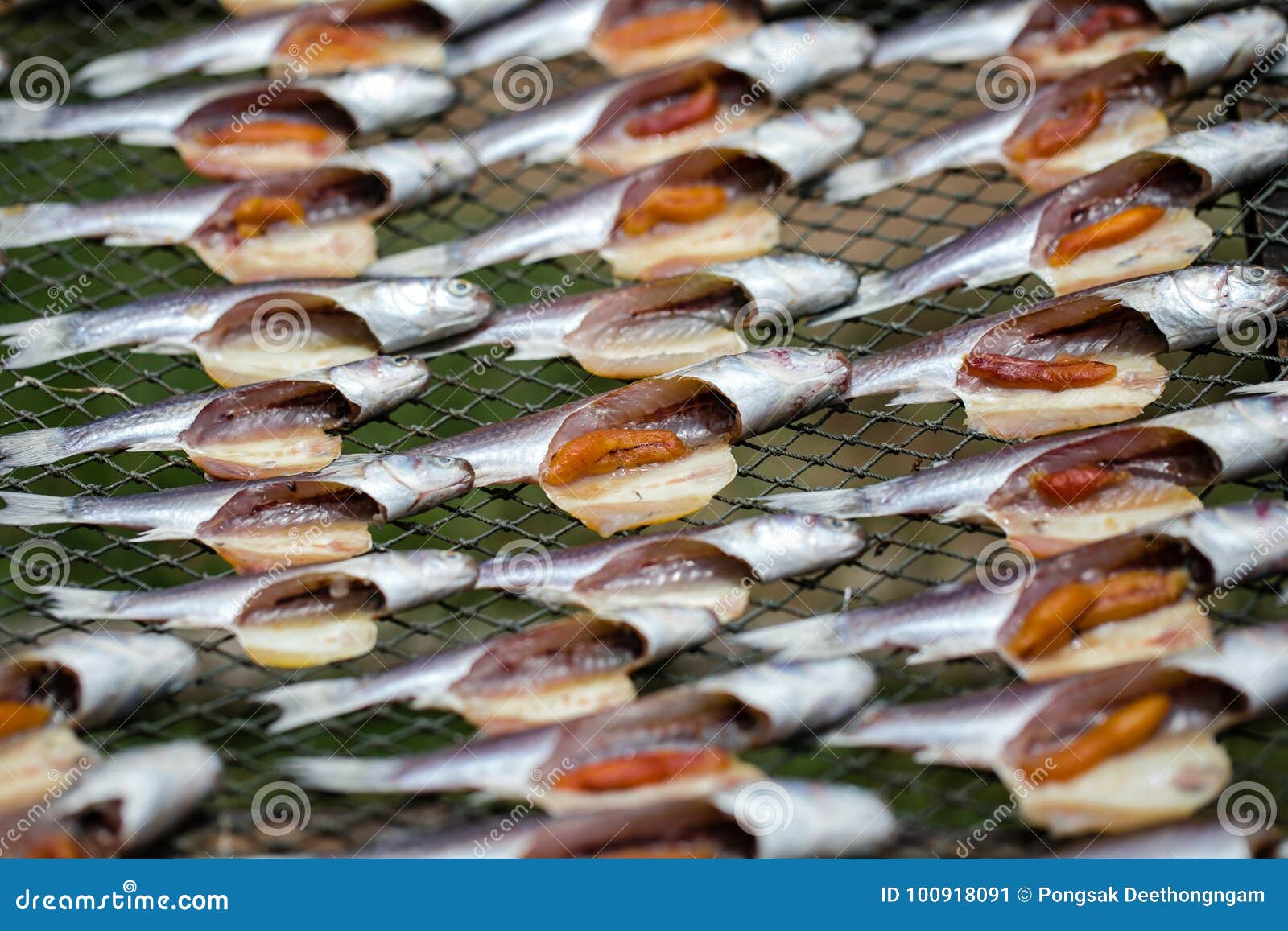 Fish drying on racks stock image. Image of salted, animal - 100918091