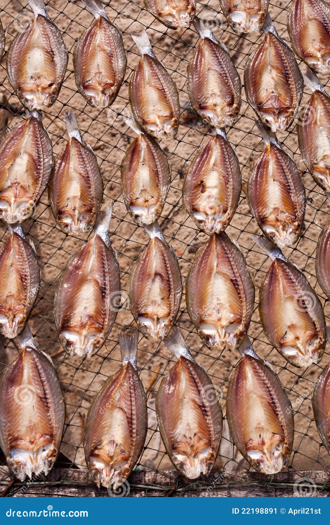Fish drying in the sun stock image. Image of appetizer - 22198891