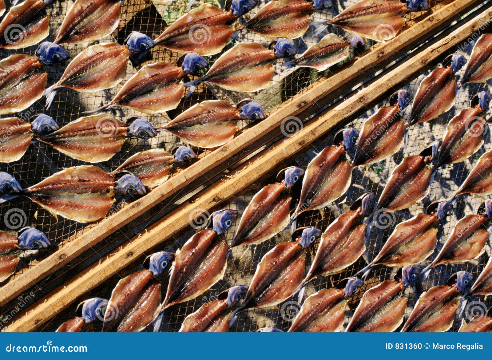 Fish Drying Racks Stock Photography | CartoonDealer.com #22505666