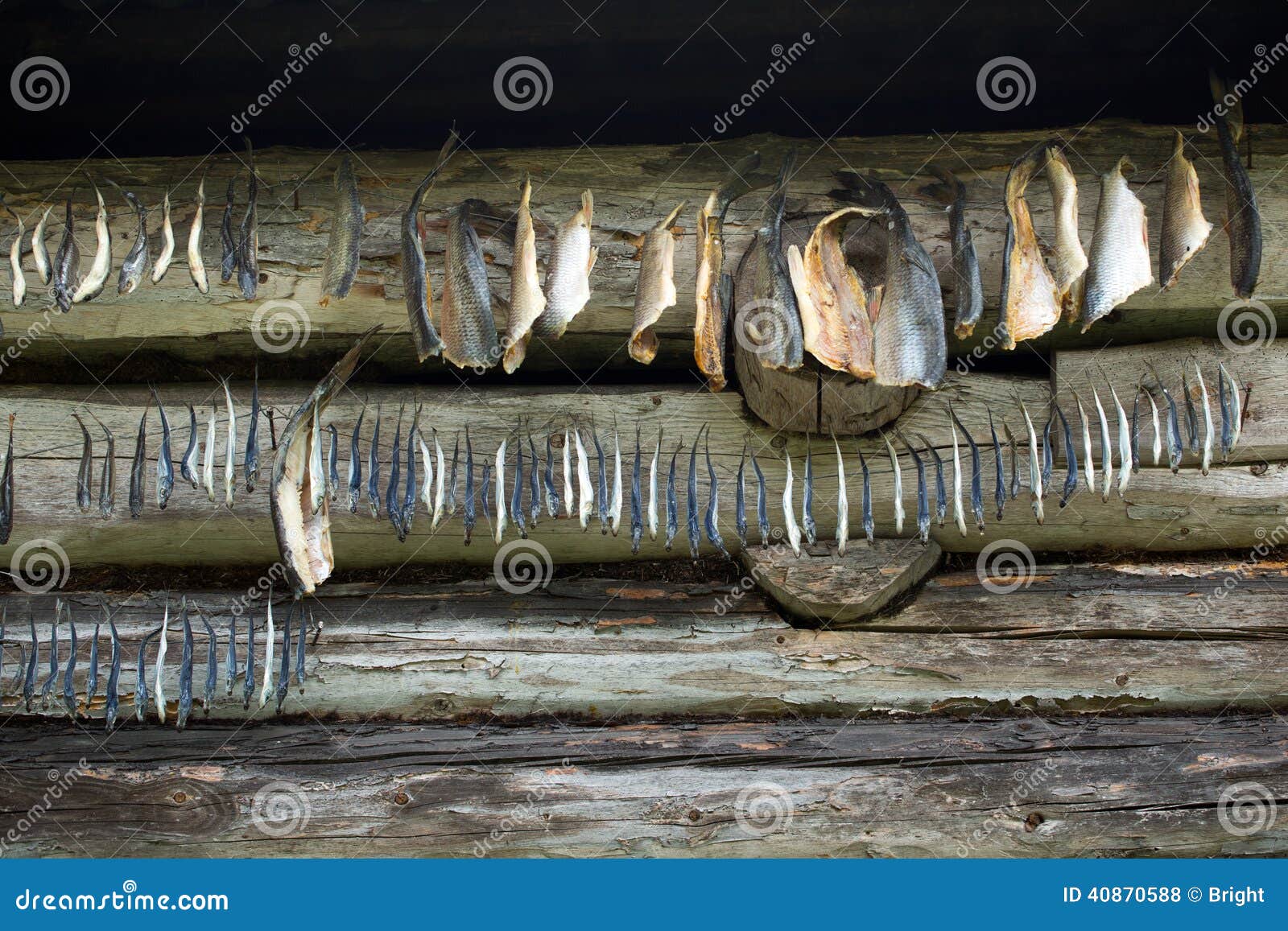 Fish drying stock photo. Image of drying, summer, food - 40870588
