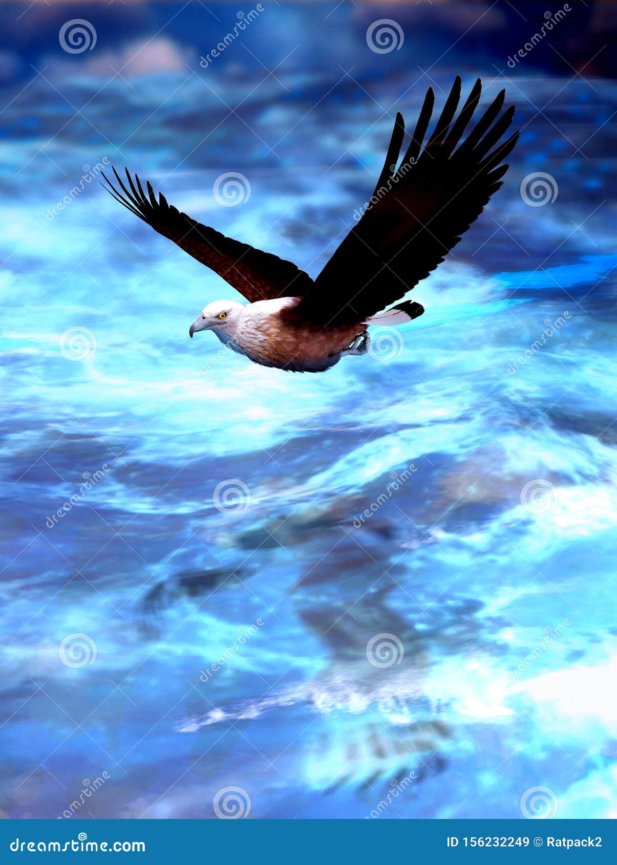 Fish Eagle Soaring Flying Over Stormy Ocean Waters Stock Illustration ...