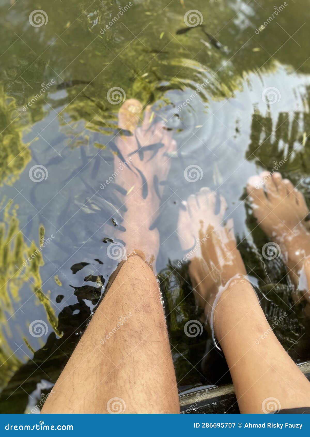 Fish eat foot stock image. Image of food, tree, branch - 286695707