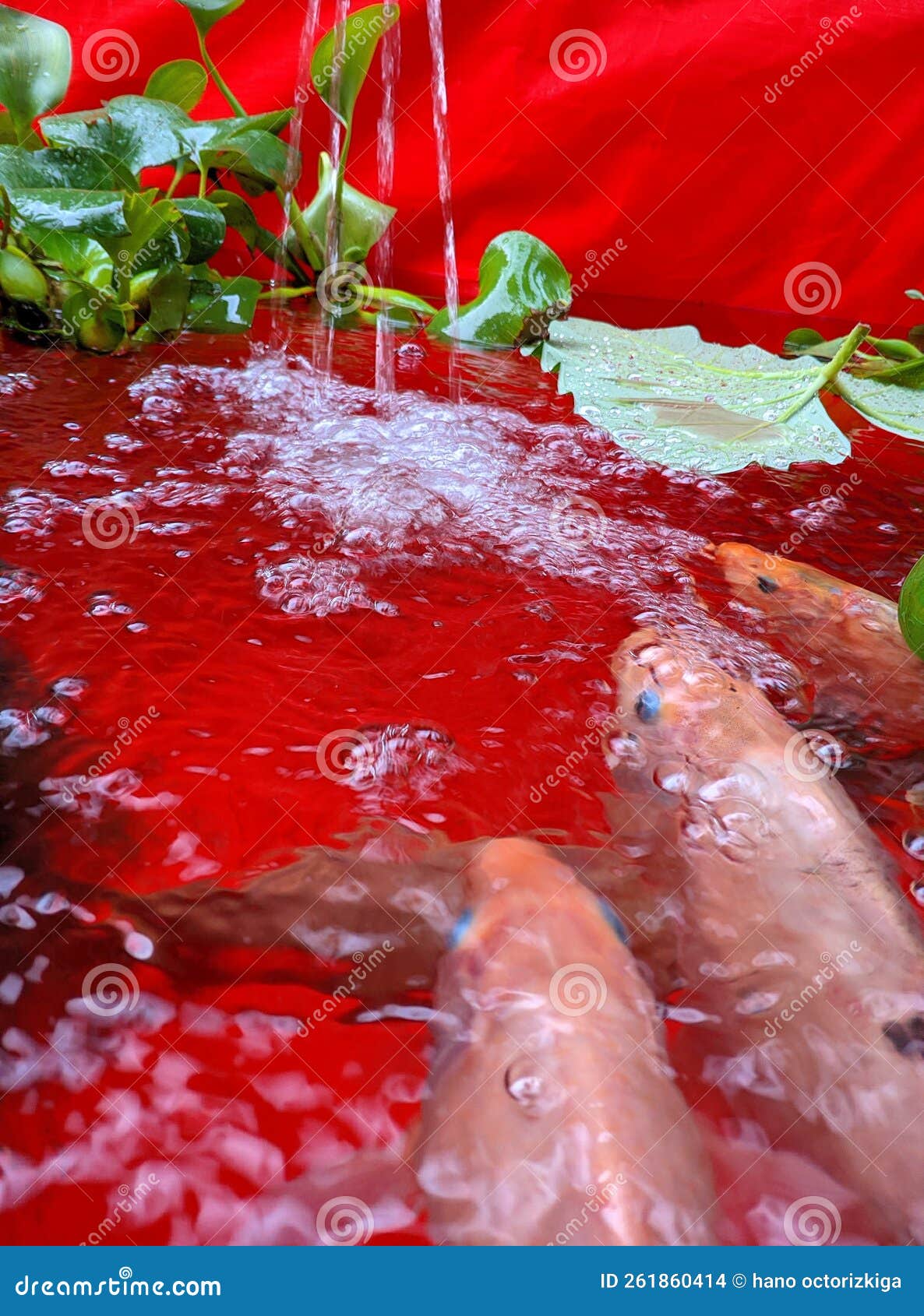Raise Fish Will Make You a Hockey Stock Photo - Image of steak, fruit ...