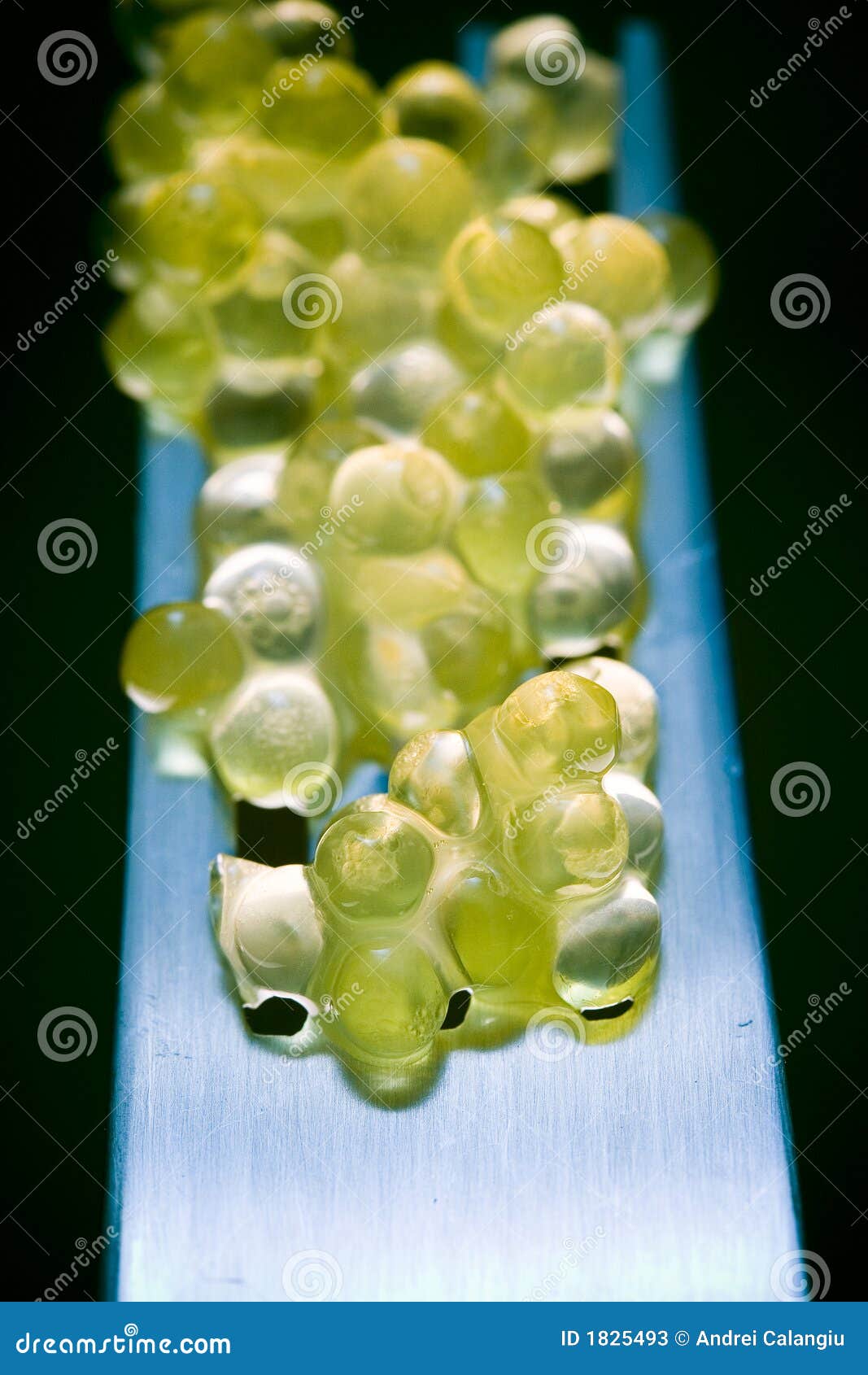 Fish Eggs on a Fork stock image. Image of fish, delicacy - 1825493